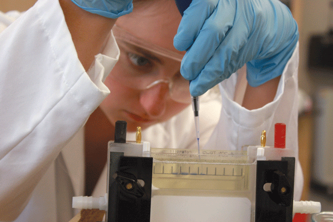 molecular medicine & bioengineering - Blue Valley CAPS